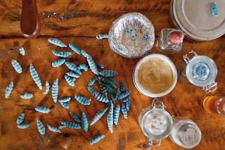 Blue Pills ~ Civil War Rx