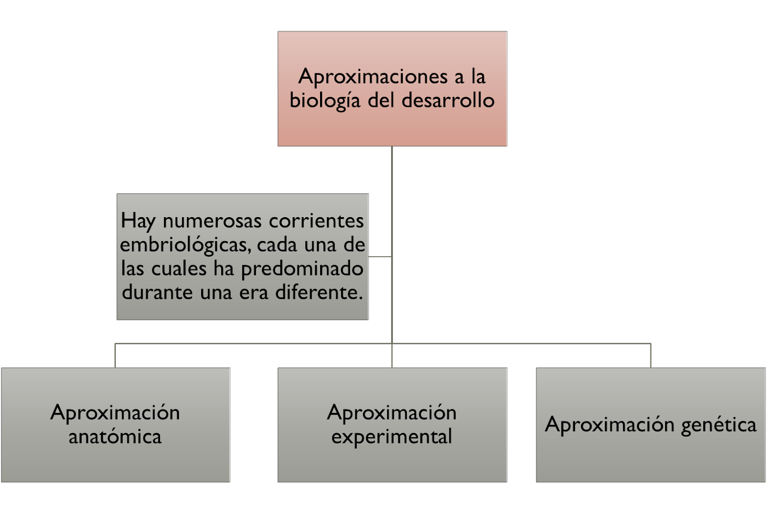 Biología del desarrollo, diferenciación y crecimiento celular