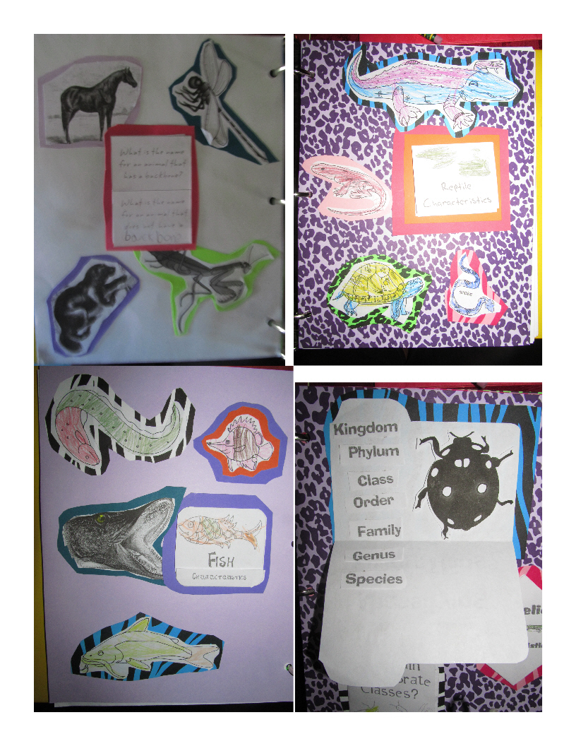 Loving Life Lapbooks