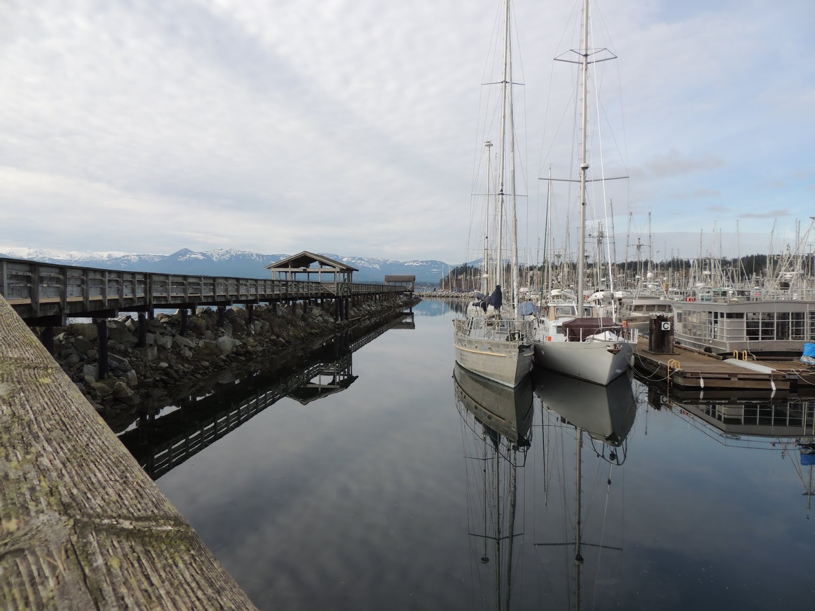 Travels Here and Abroad: Comox Marina