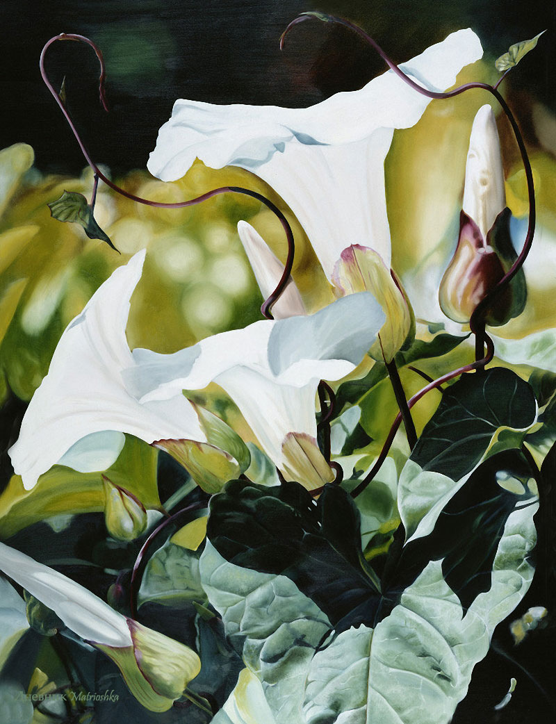 Коллекция картинок: Чудные цветы художника James Knowles