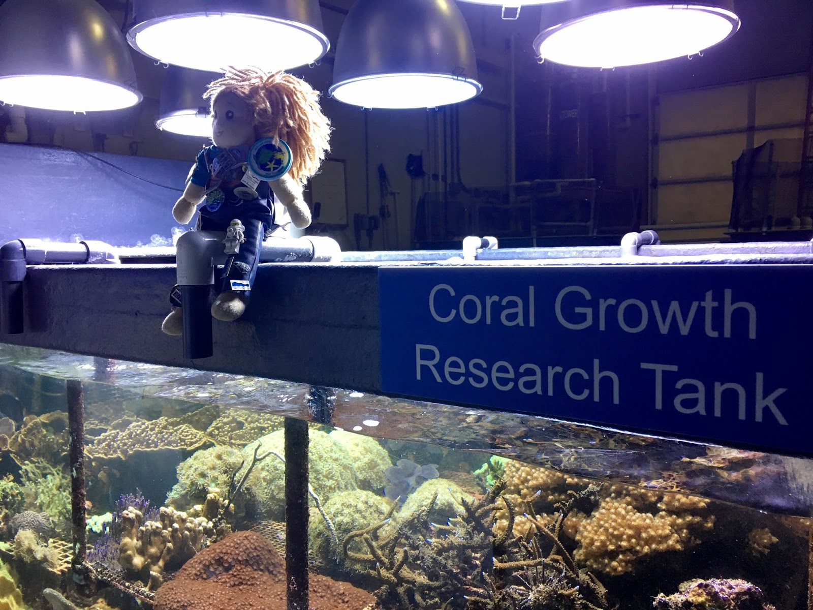 Abby's Aquarium Adventures