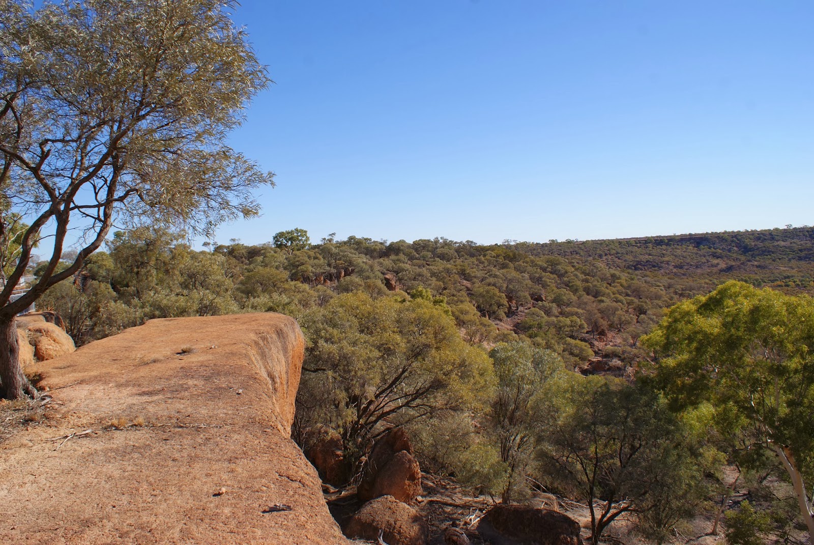 Amelia the explorer: Winton, QUEENSLAND