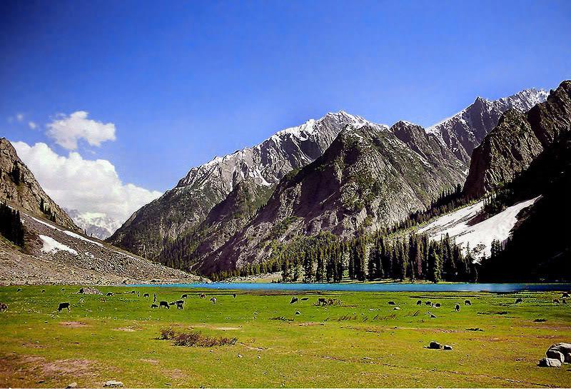 Swat Wallpapers ~ Beautiful Wallpapers In Pakistan