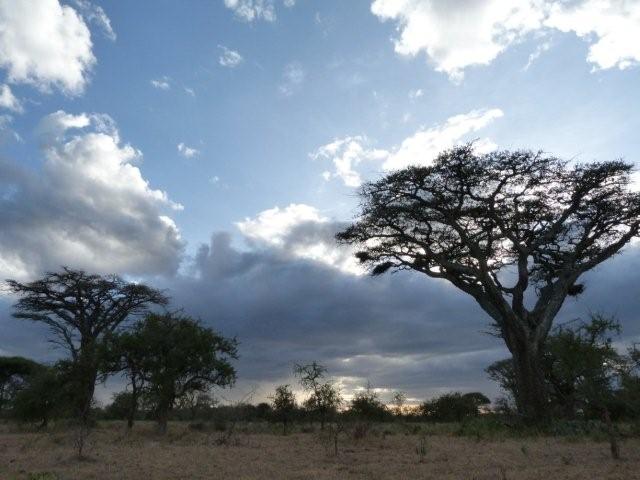 Vist to Simanjiro land easement - Tanzania - Safaritalk