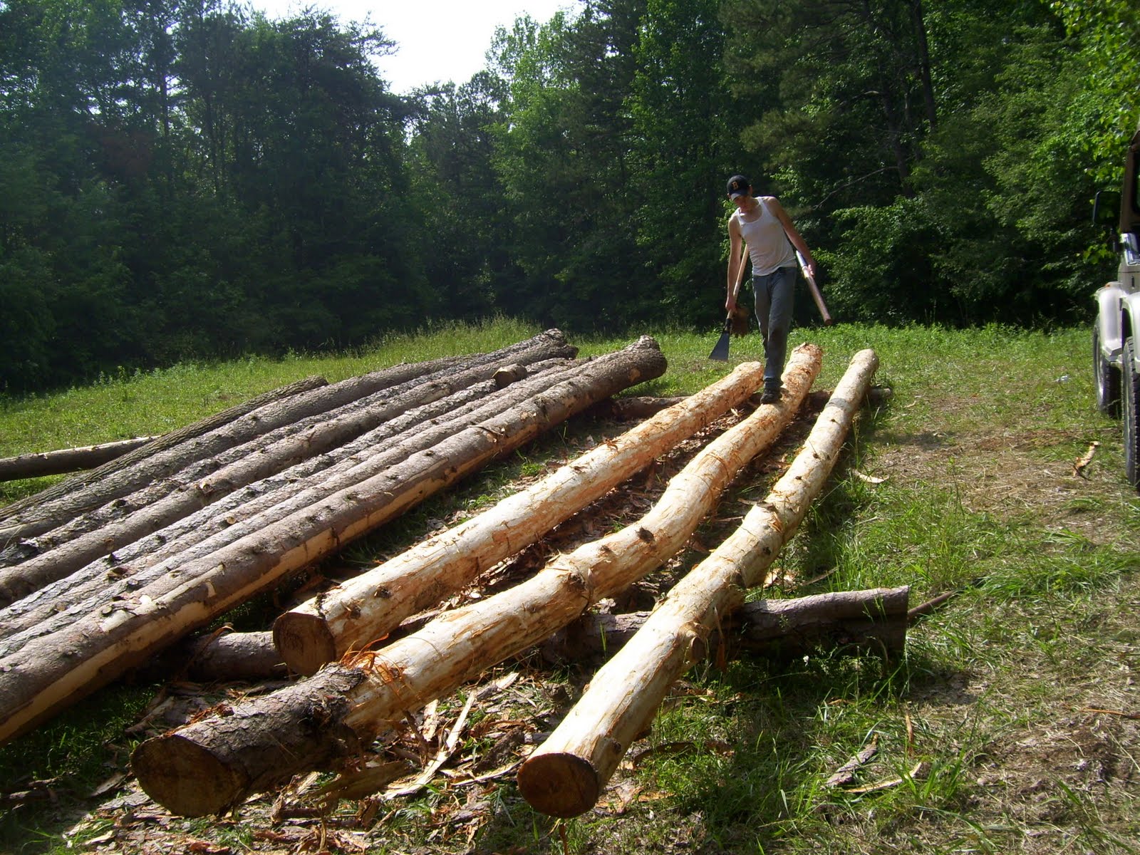 Building a butt and pass log cabin: Peeling some racked logs..finally