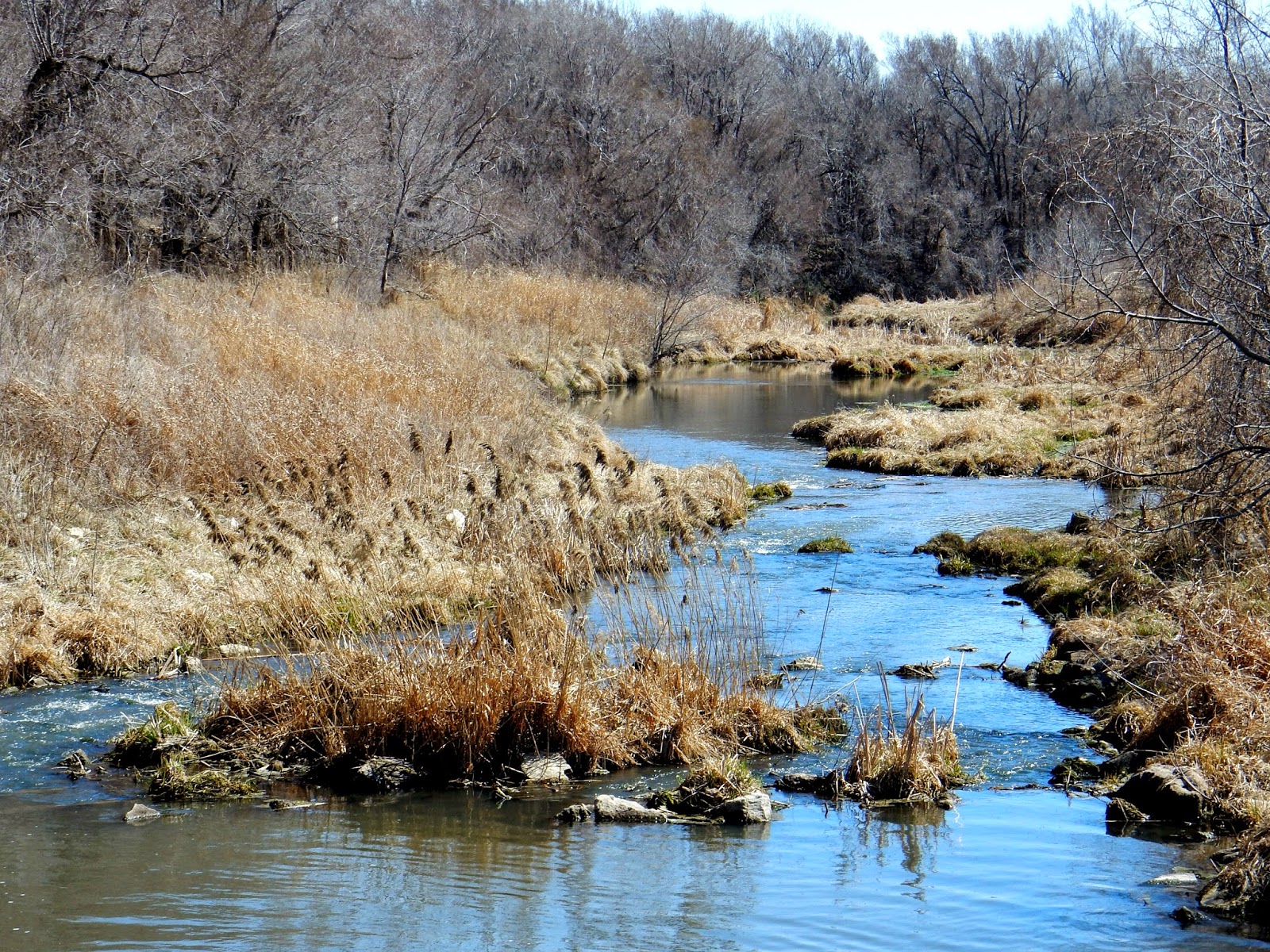 Kim's County Line: Down a Different Road