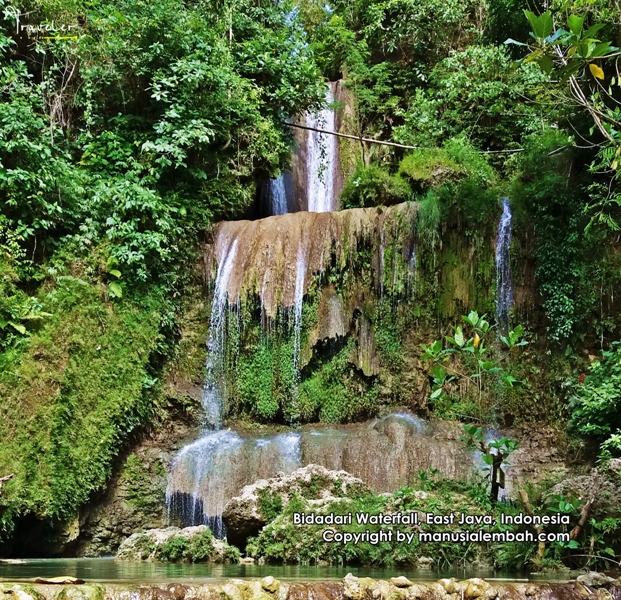 Air Terjun Bidadari, Cantiknya Air Terjun Bertingkat di Blitar Selatan ...