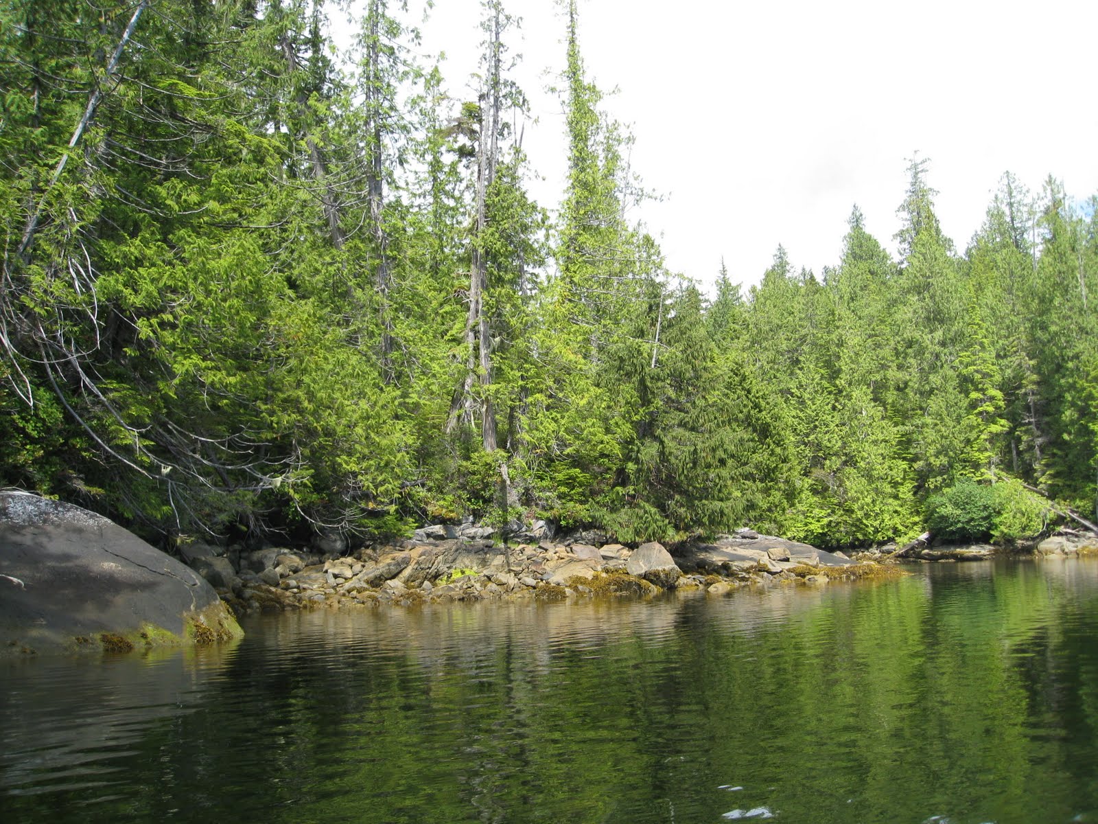 Sailing Adventures of s/v Talos IV: McIntosh Bay, Simoom Sound
