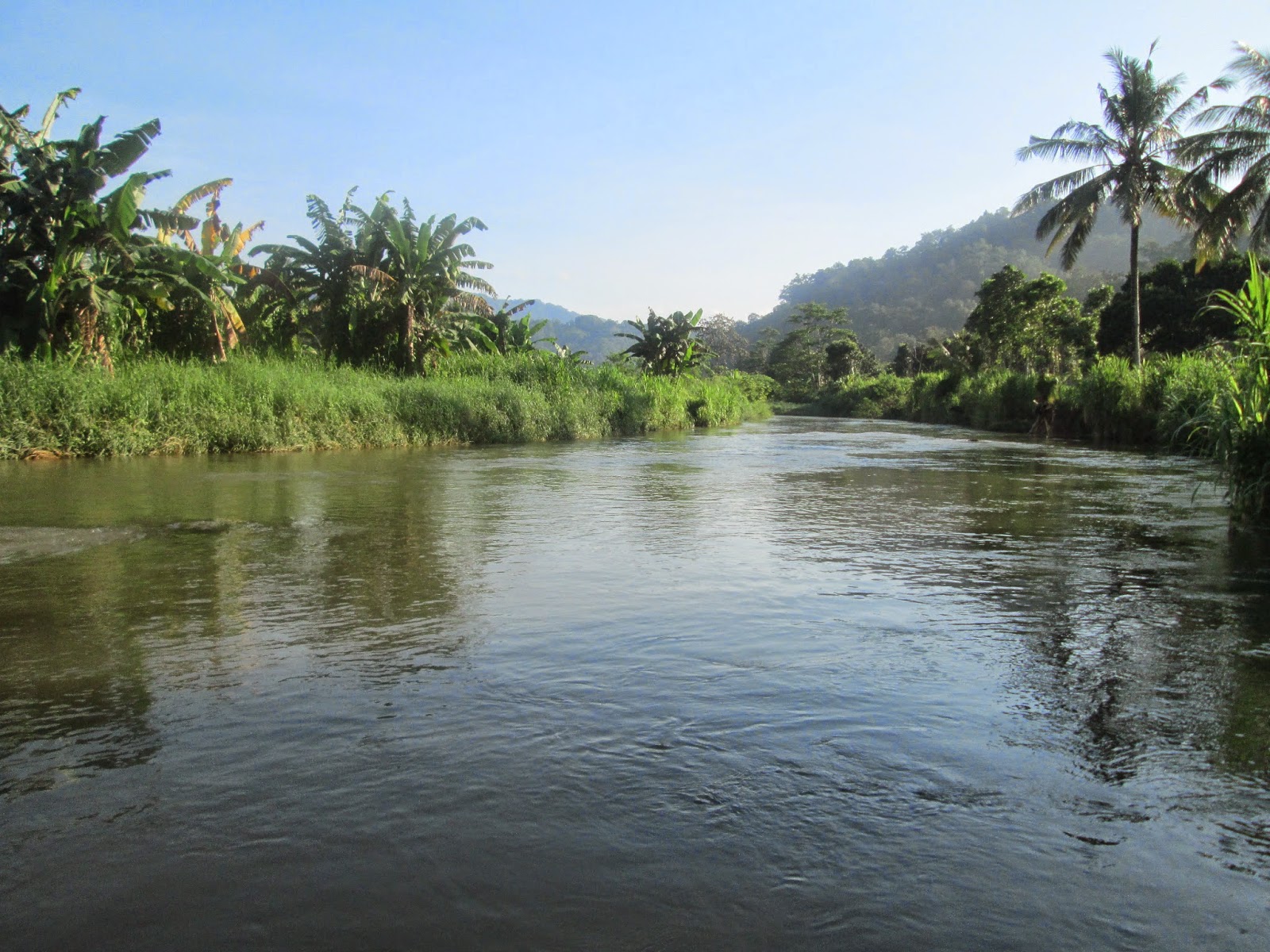 Tour In Banyuwangi: Meru Betiri National Park