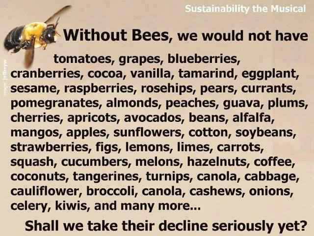 THE BEES NEED YOU! - Science in the City