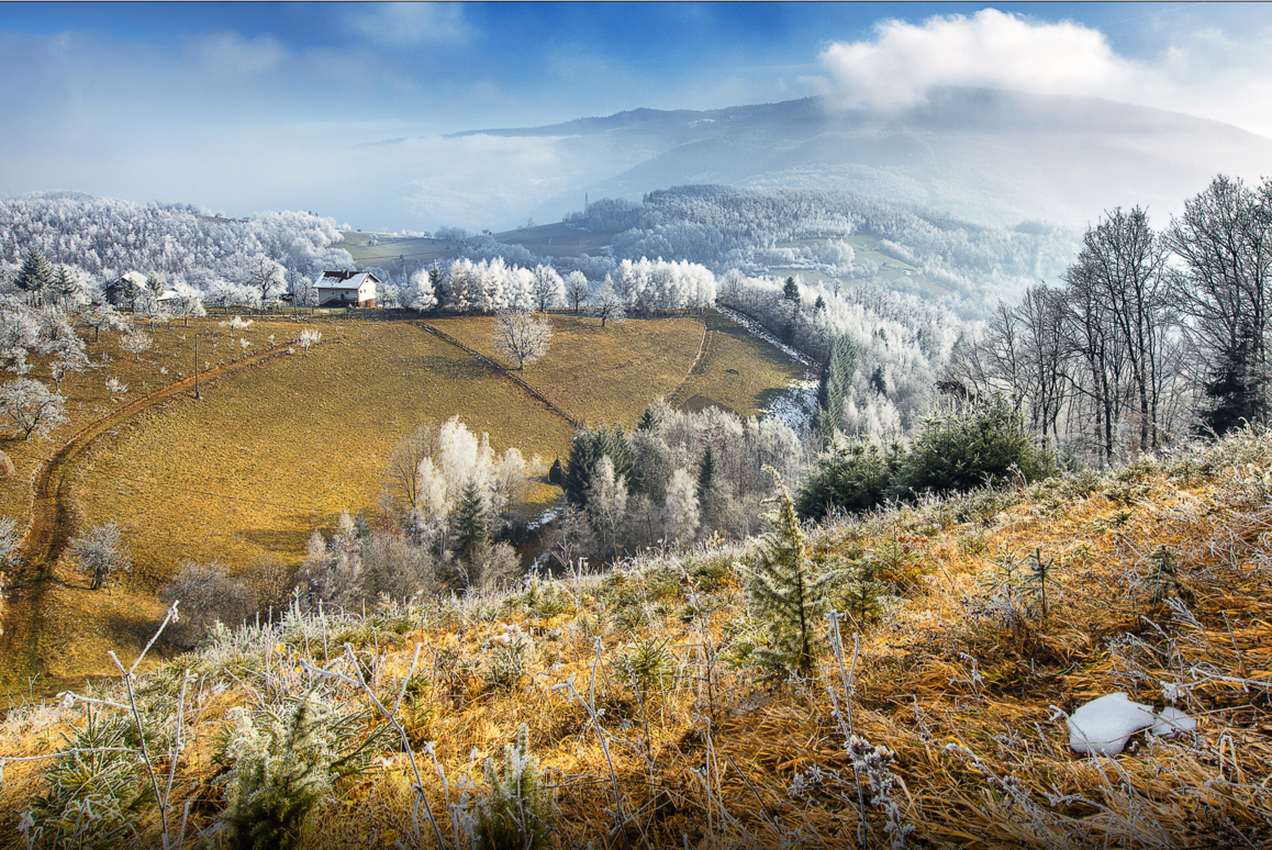 Banco de Imágenes Gratis: Un día nevado - Frozen day - Árboles blancos