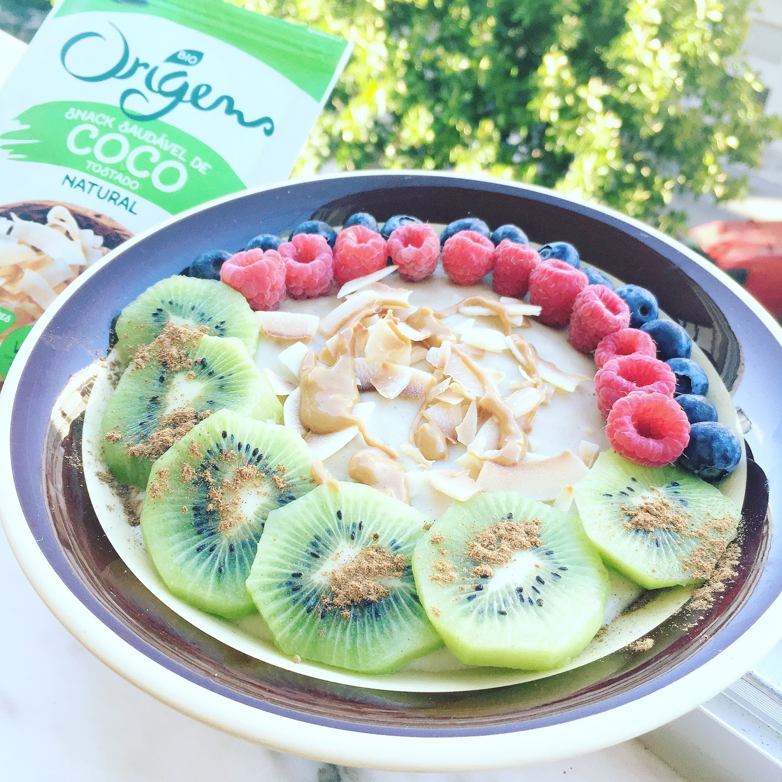 Papas de Aveia com Courgette e Canela - Naturalmente Saudável