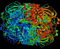 El Higado: Importancia clinica de las enzimas