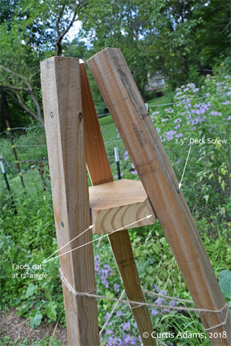 Native Plants with Adams Garden: Garden Trellis