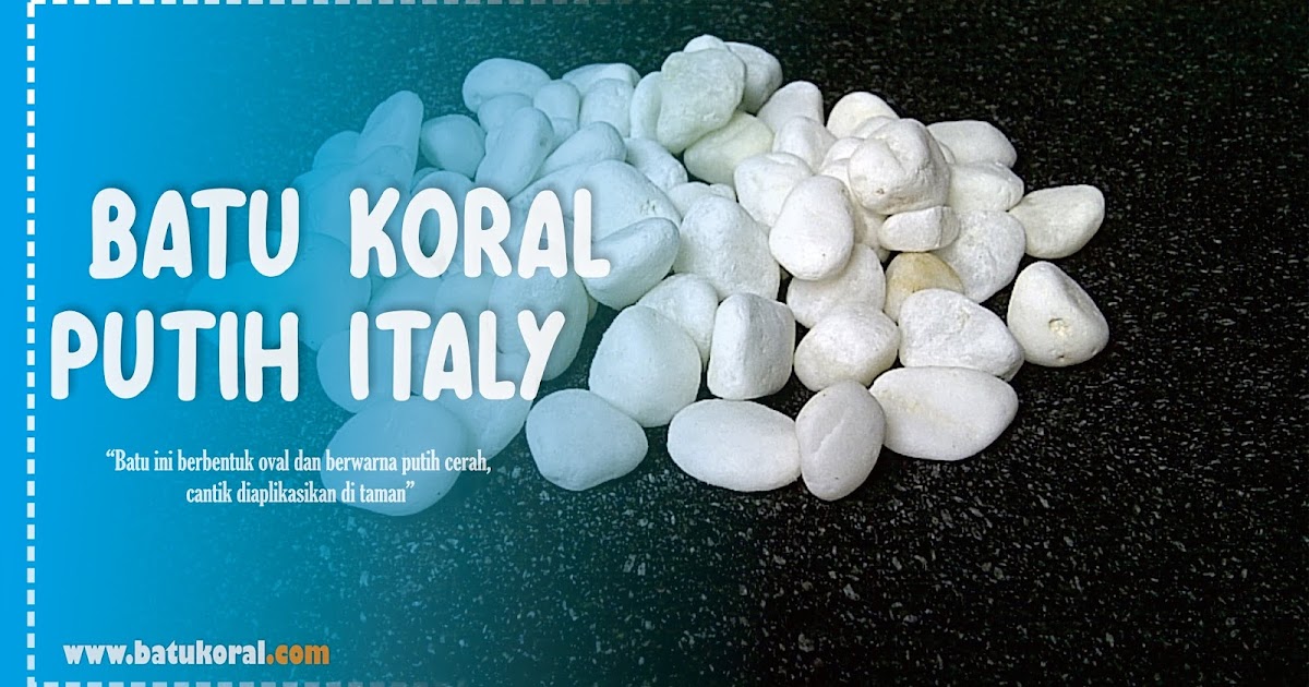 JUAL BATU KORAL PUTIH ITALY | JUAL KORAL DI JABODETABEK ~ JUAL BATU ...