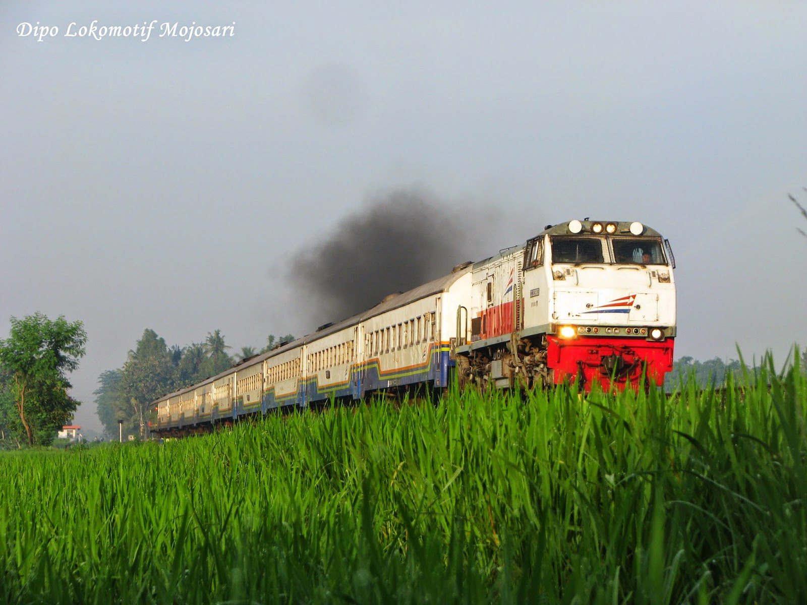Kereta Api Indonesia: Rangkaian KA Senja Utama Solo ft CC203 Melintas ...