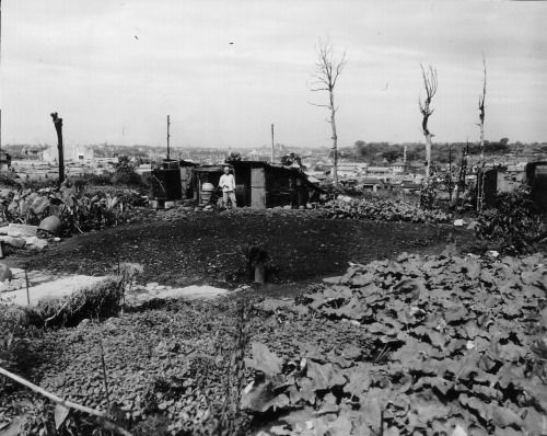 TenguLife: The curious guide to Japan: The Shibuya Incident and a very ...