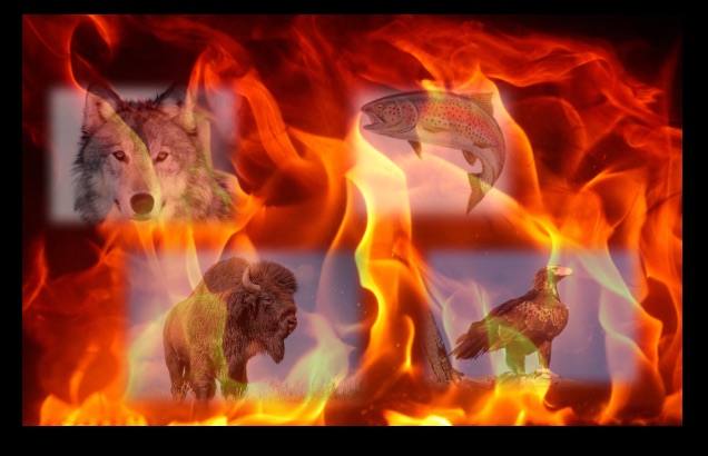 Byzigenous Buddhapalian: The Tale of FireEye