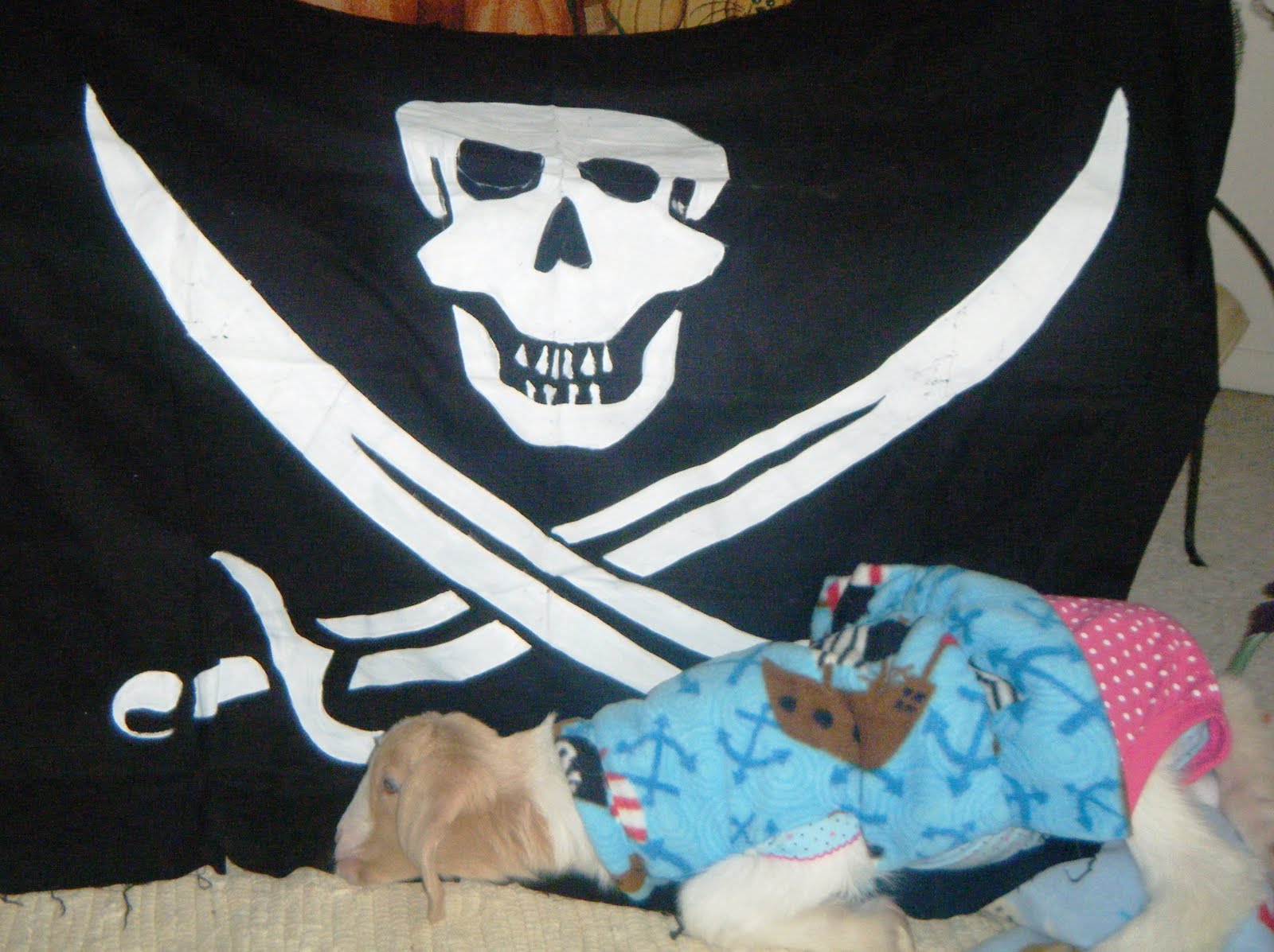 PIRATE GIRL: Sadie the Goat-Hudson River Pirate