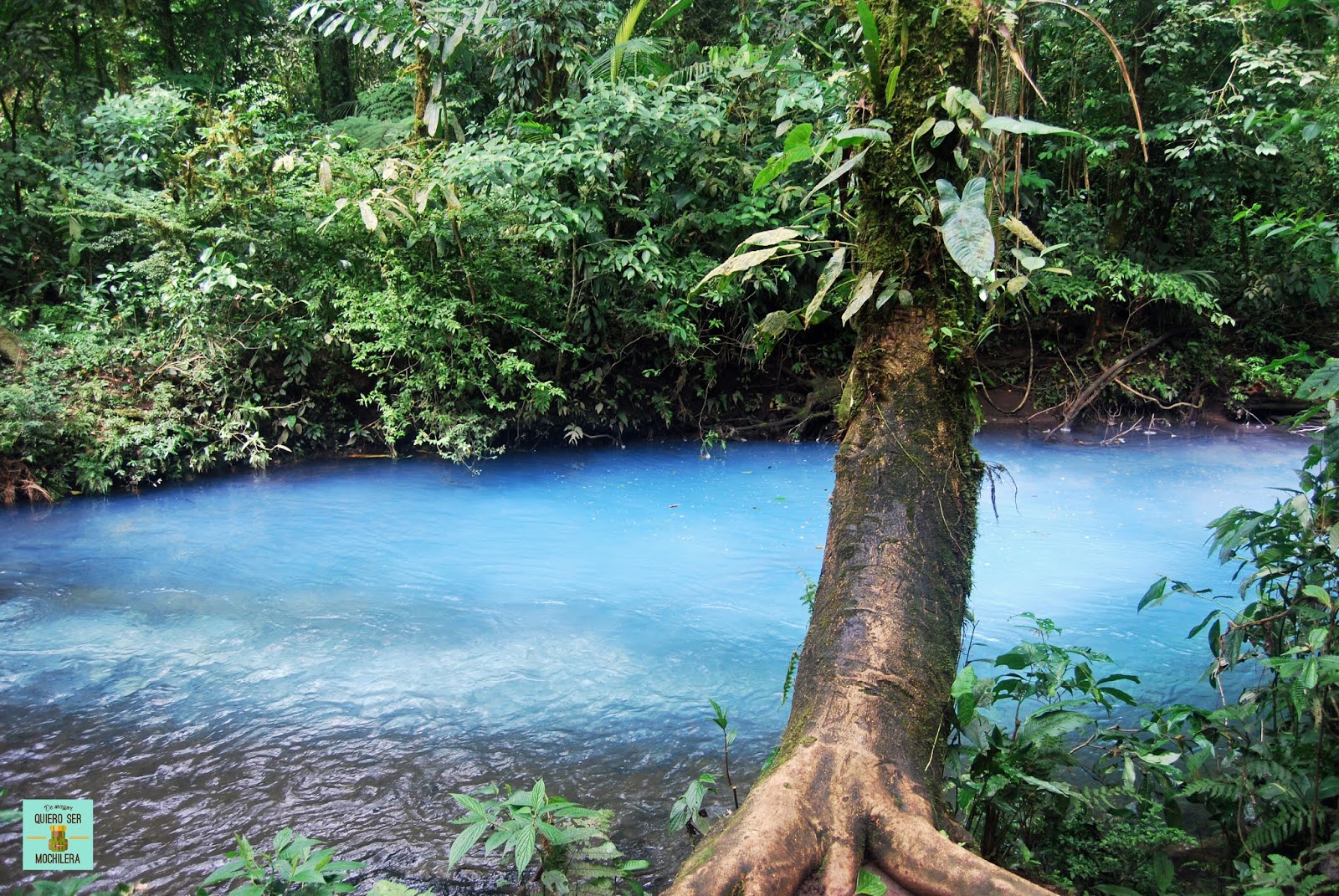 Visitar el VOLCÁN TENORIO y RÍO CELESTE en Costa Rica [Qué saber antes ...