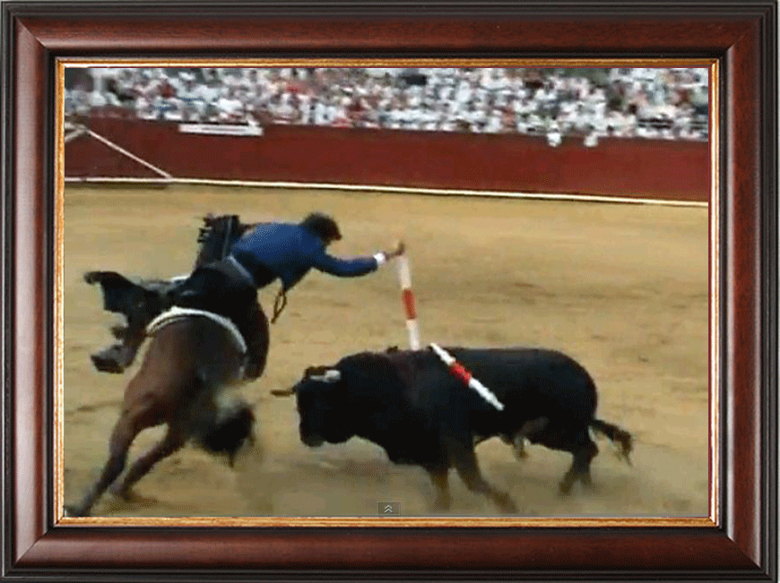 tauromaquia: El Rejoneo