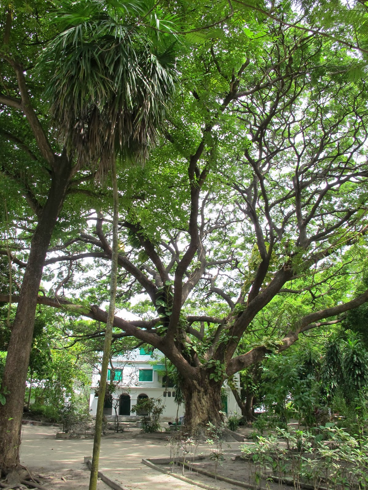 It's what i do: Maldives 2013