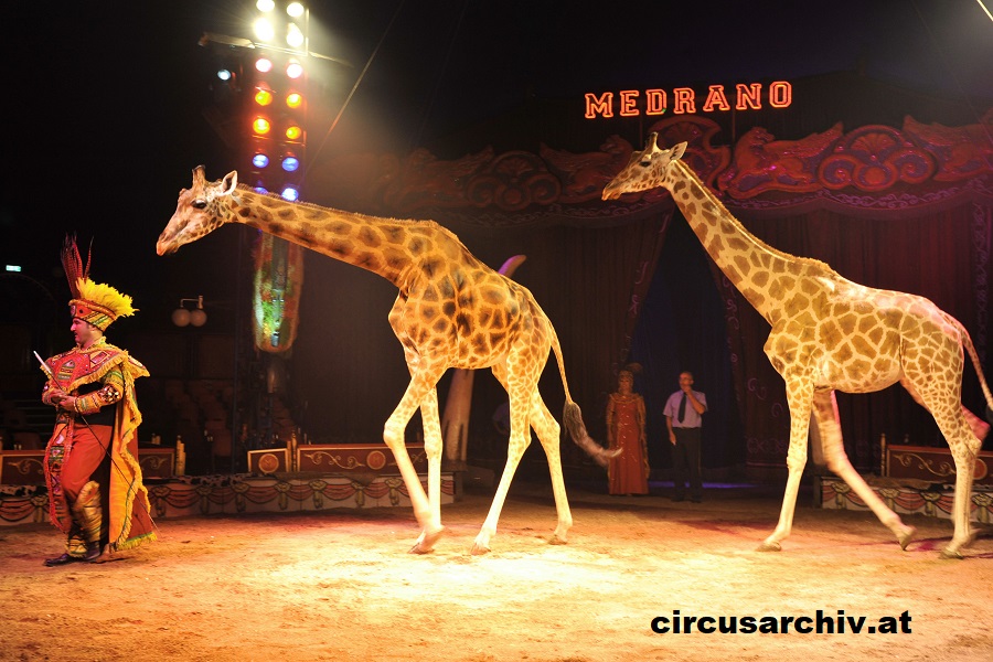 Circus News: CIRCO MEDRANO / CASARTELLI - PROGRAMM 2018