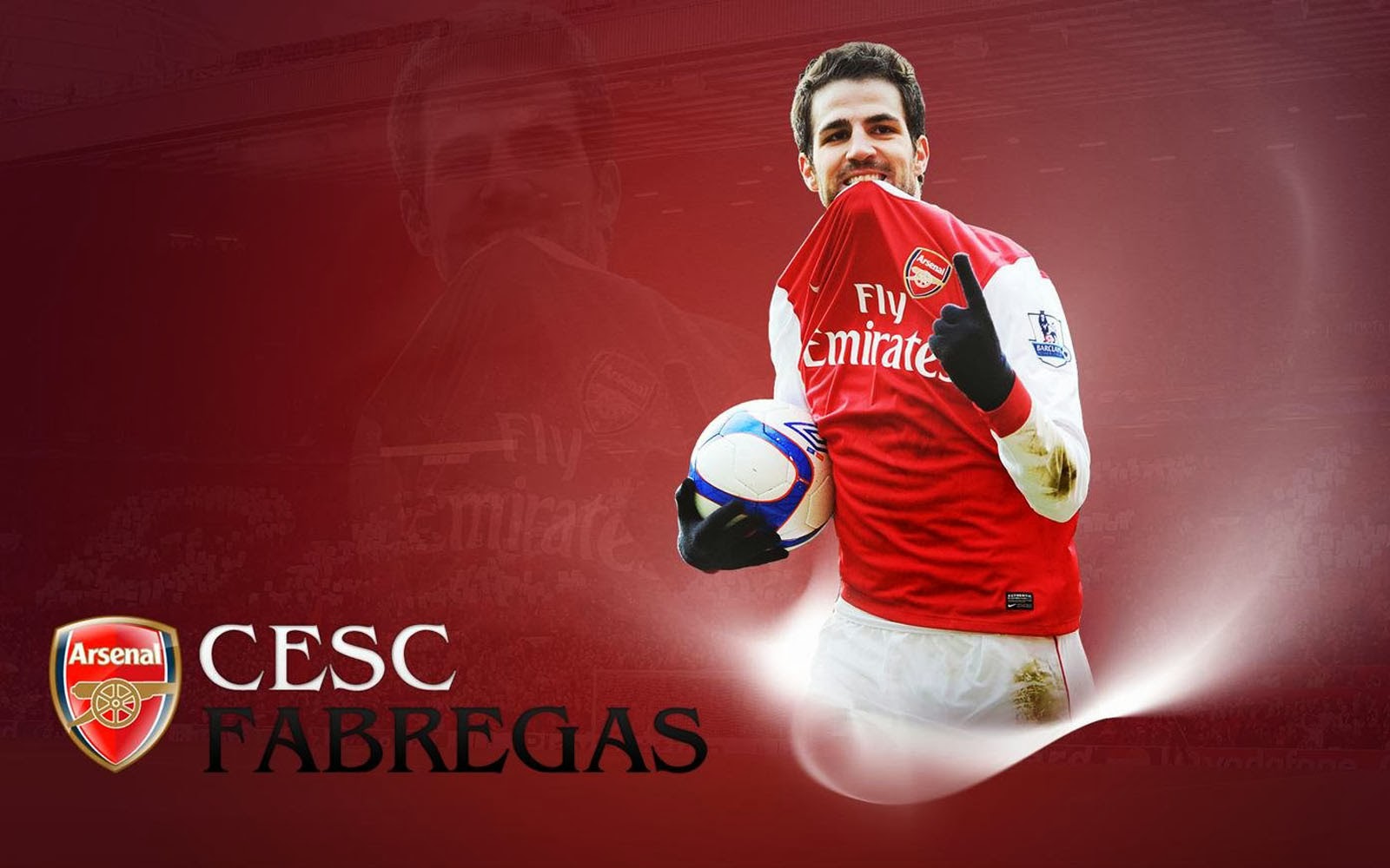 art pictures: Cesc Fabregas Wallpapers