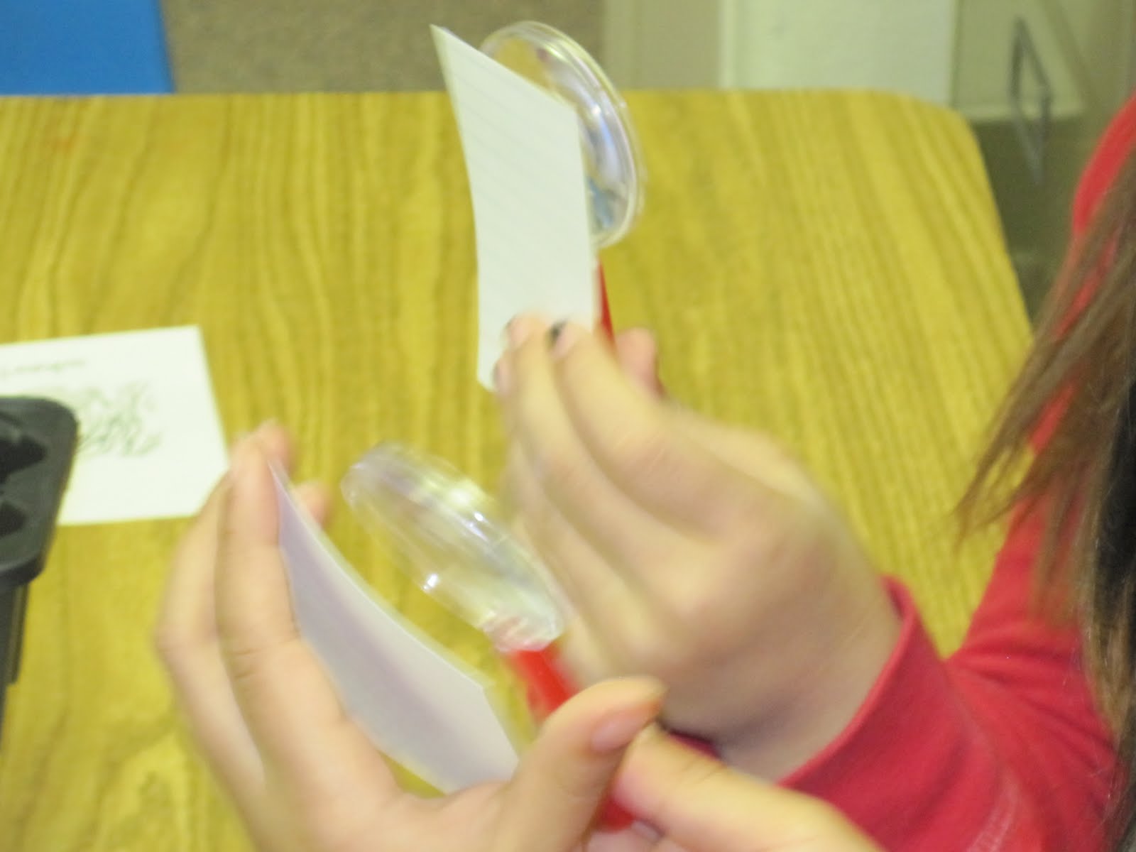 Ms.M's Blog: Science Fair Projects