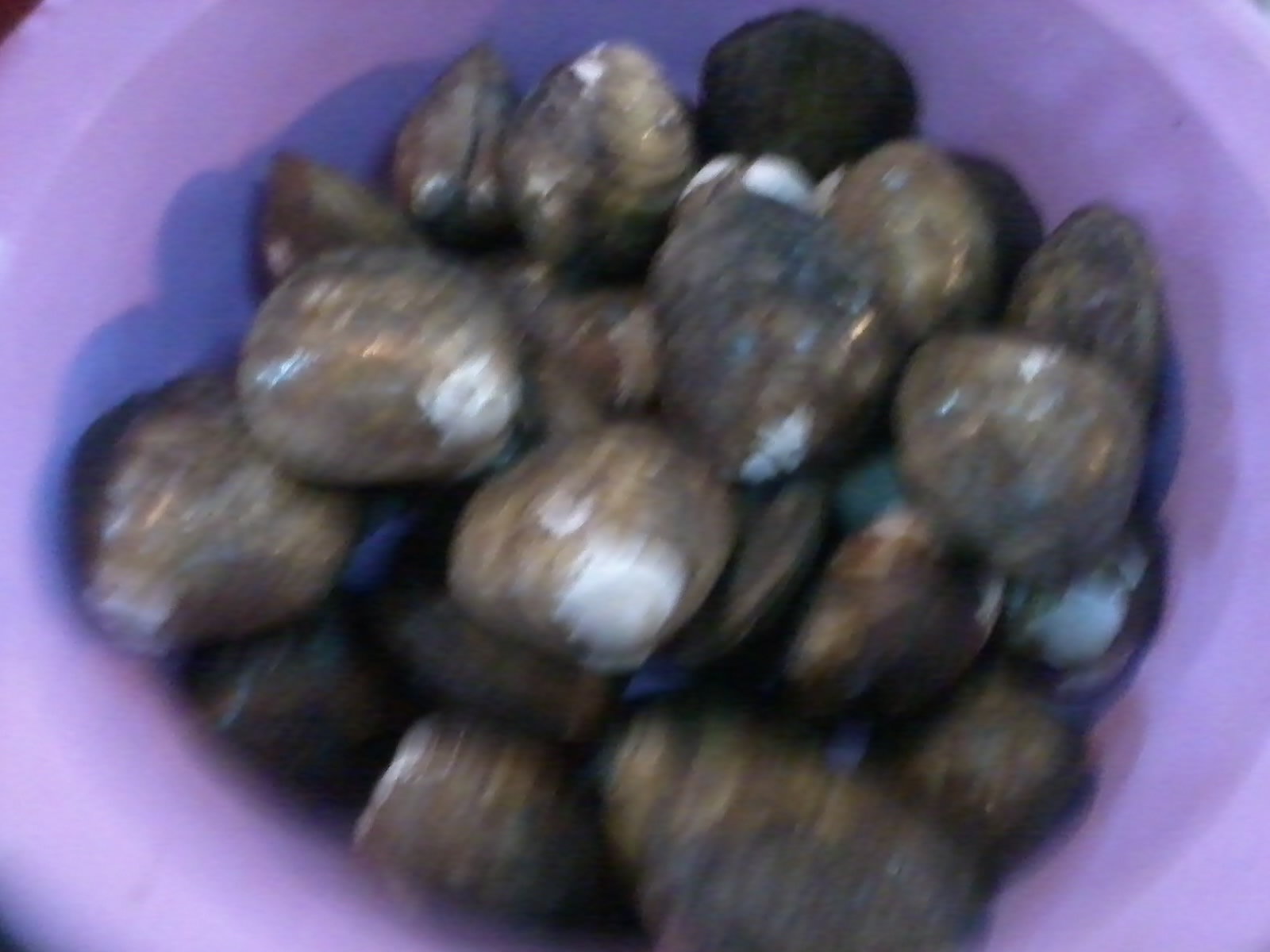 Dampa sa Libis Food Review | Security Blanket