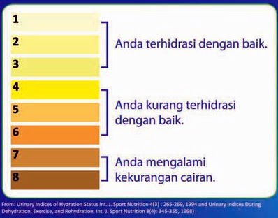 Indikasi Warna Urine dan pencegahan Dehidrasi saat puasa | Article News