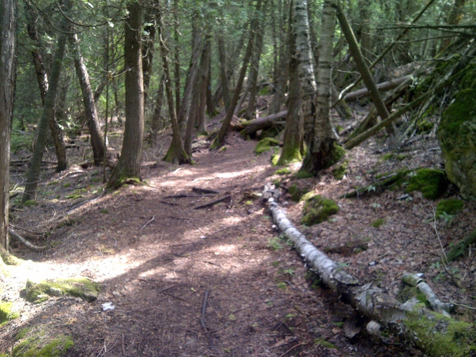 When Do I Become Competent Again?: Scenes from Bruce Trail Burnt Point ...
