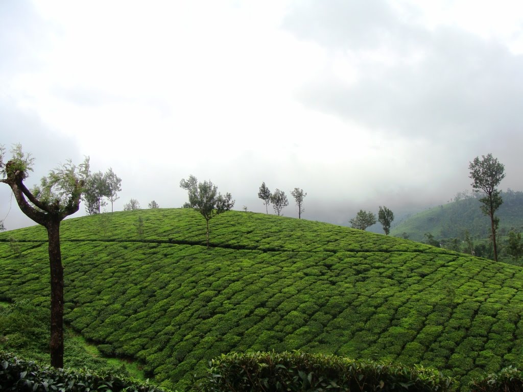 more to life...: Skulls Gang Trip - July 23-24, 2010