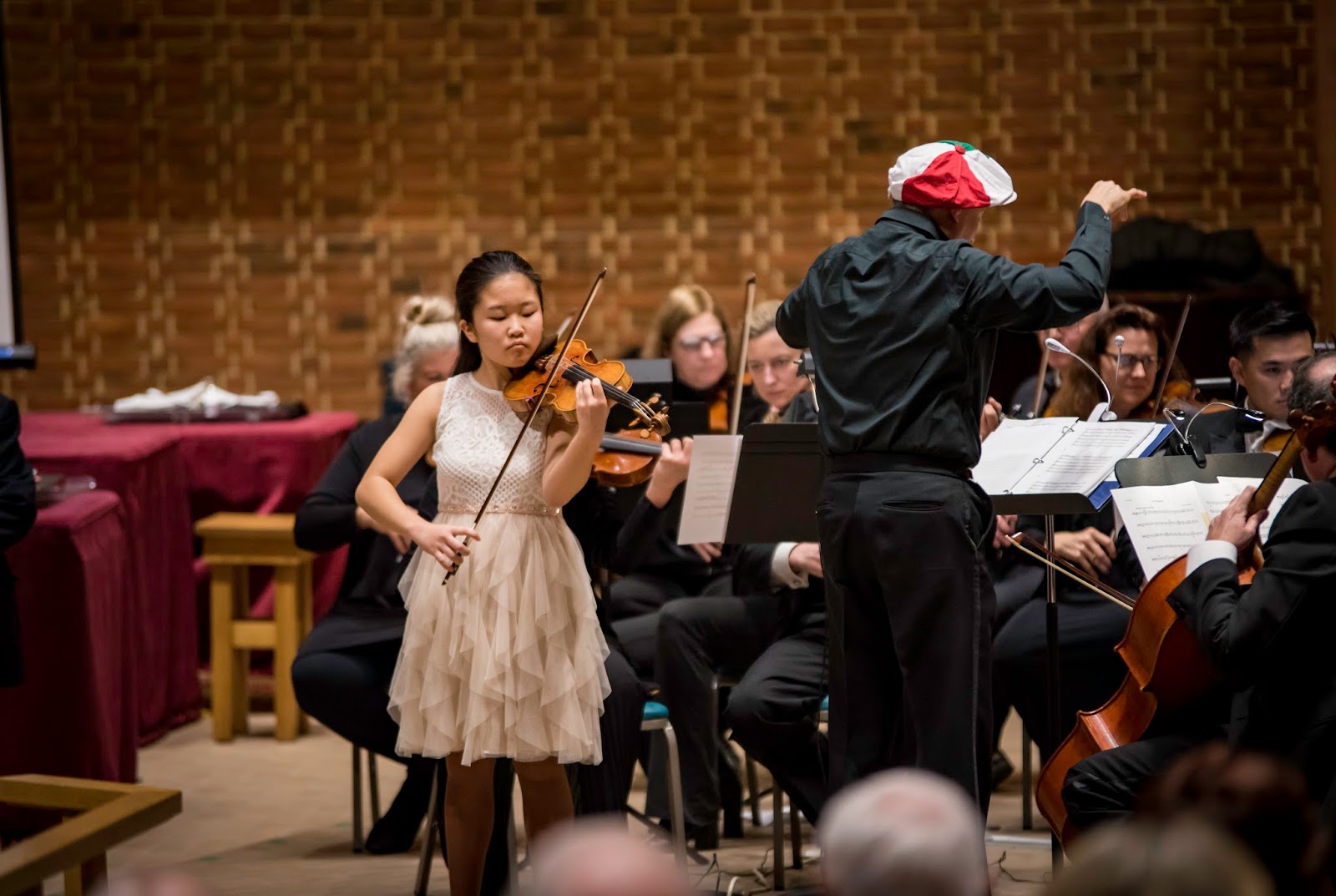 Denée Barr Art News and More: Howard County Concert Orchesta "La Dolce ...