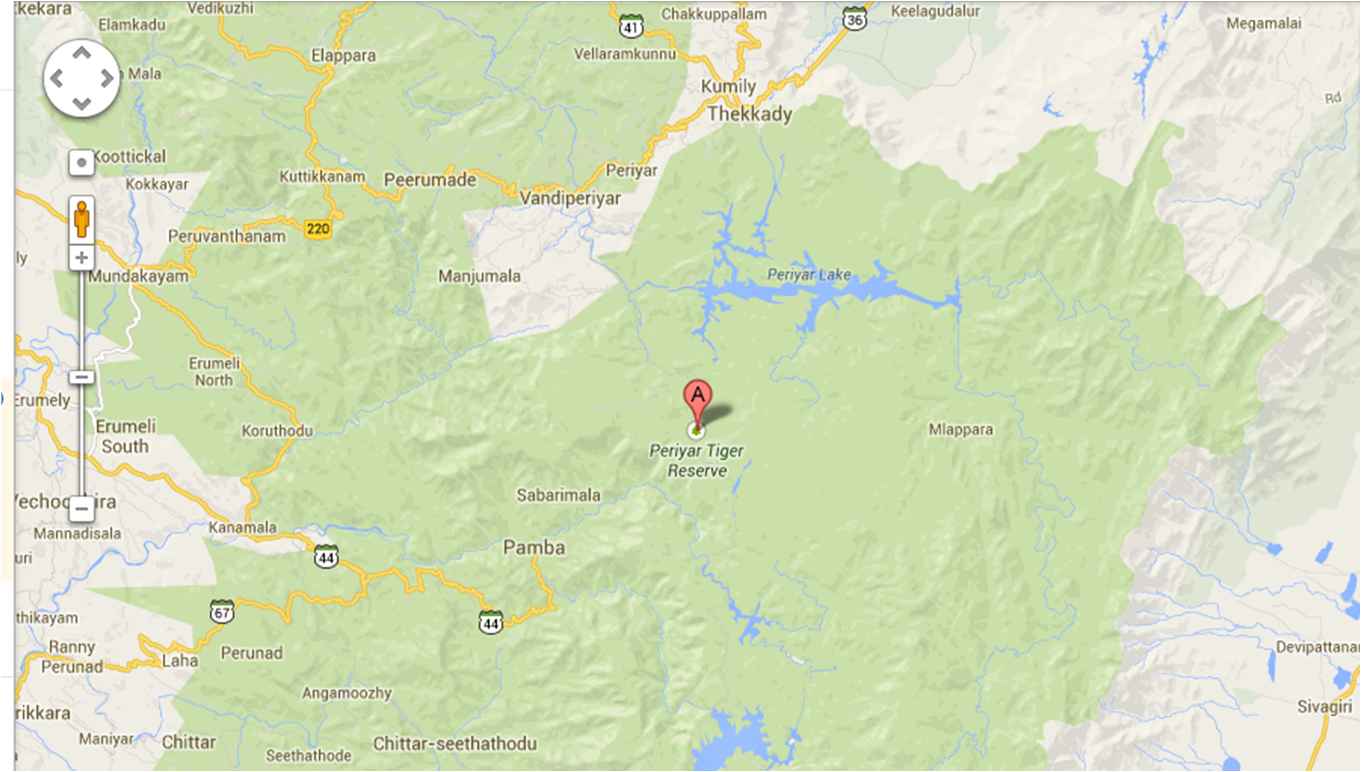 Down the Memory Lane: Kerala – Kumili - Periyar National Park