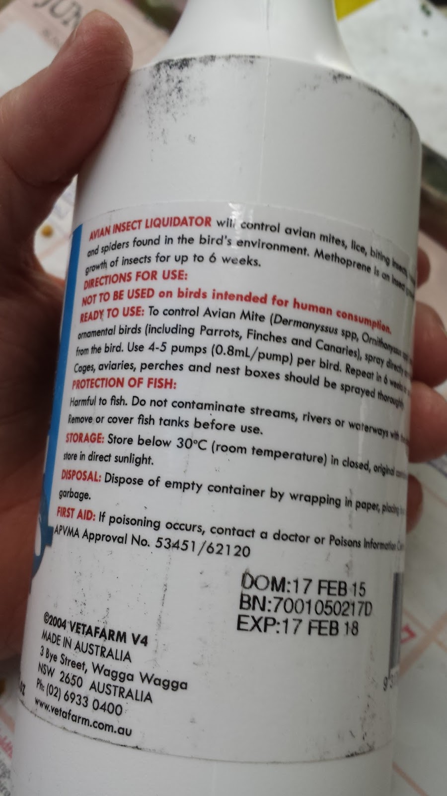 Canary Tales: Identifying Signs Blood-Sucking Mite Infection