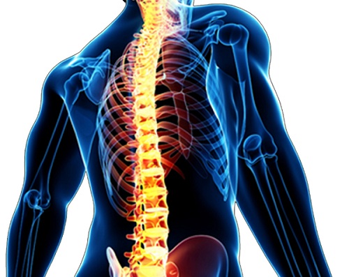 Câncer na coluna: causas, sintomas e tratamento