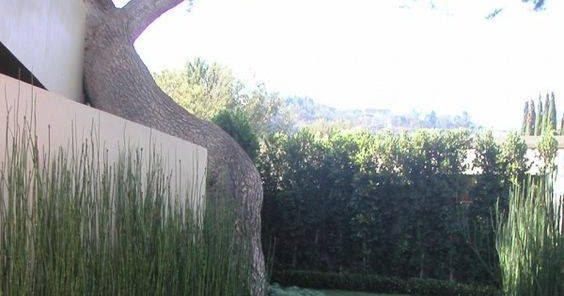 Sewa Tanaman - Landscape: contoh rab pemeliharaan taman