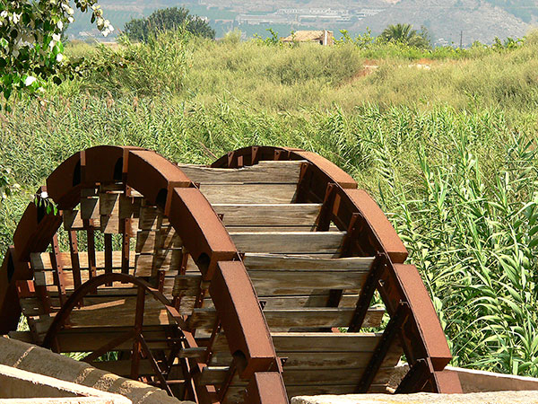 La troje de Davinia: Una noria.