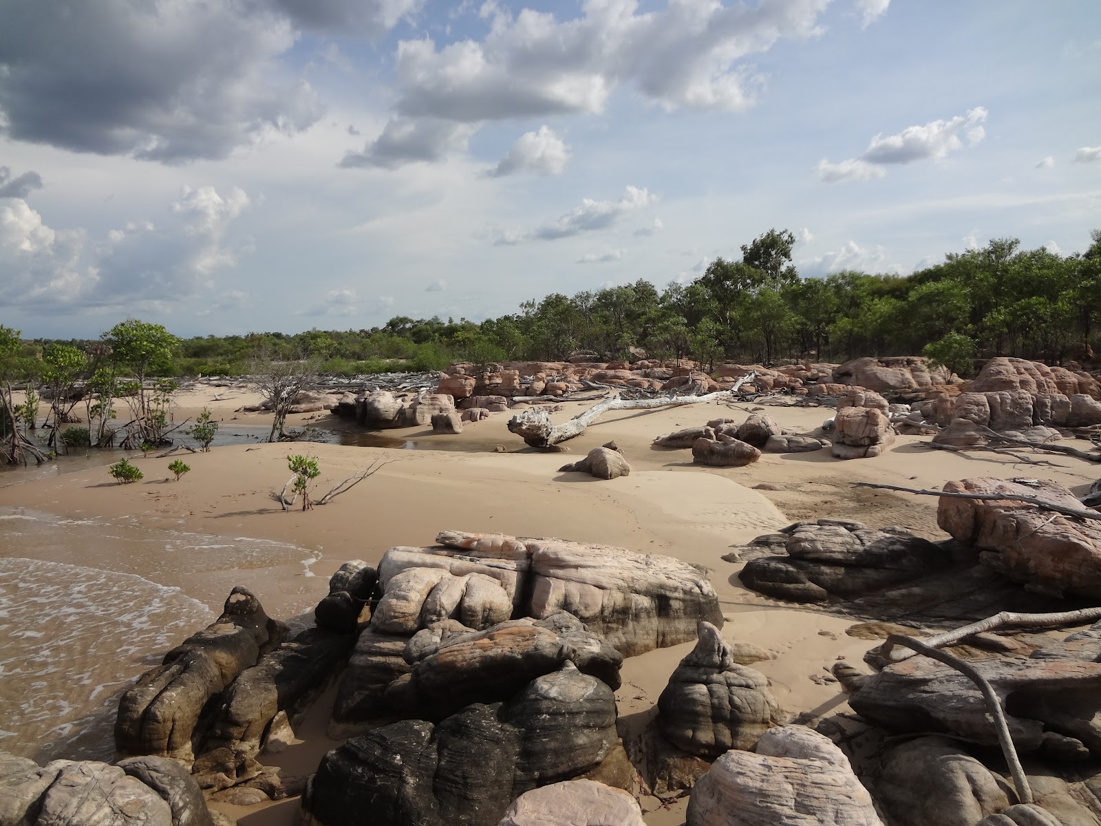 Not So Native: The Kalumburu Experience: Part 2, All Things Wild