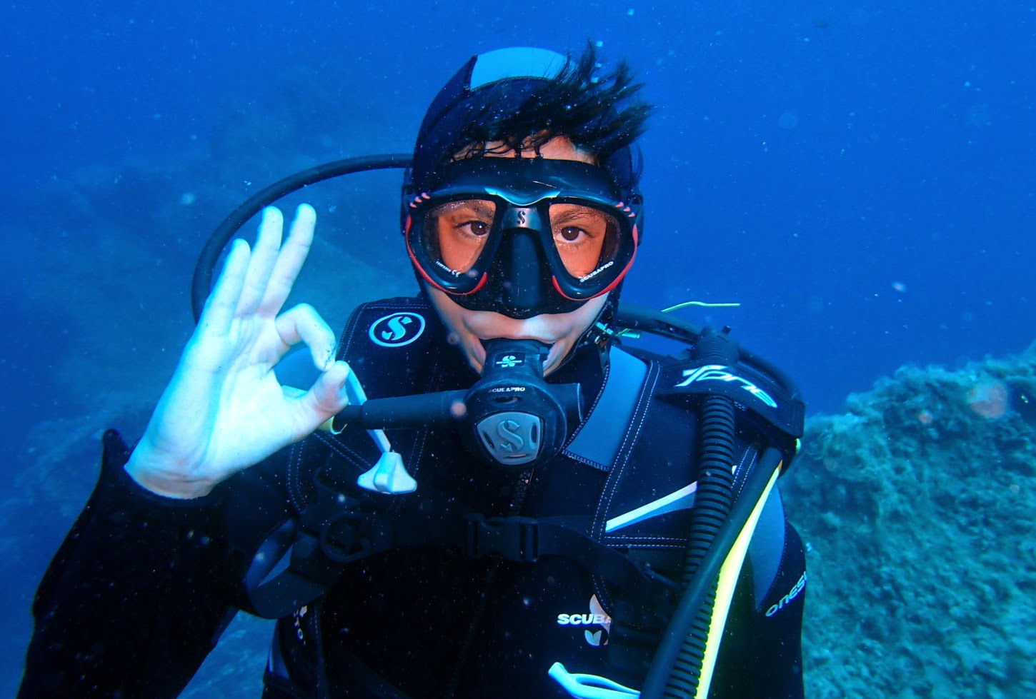 Albert, le plongeur !: "Marche ou plonge", par Léa et Ninon