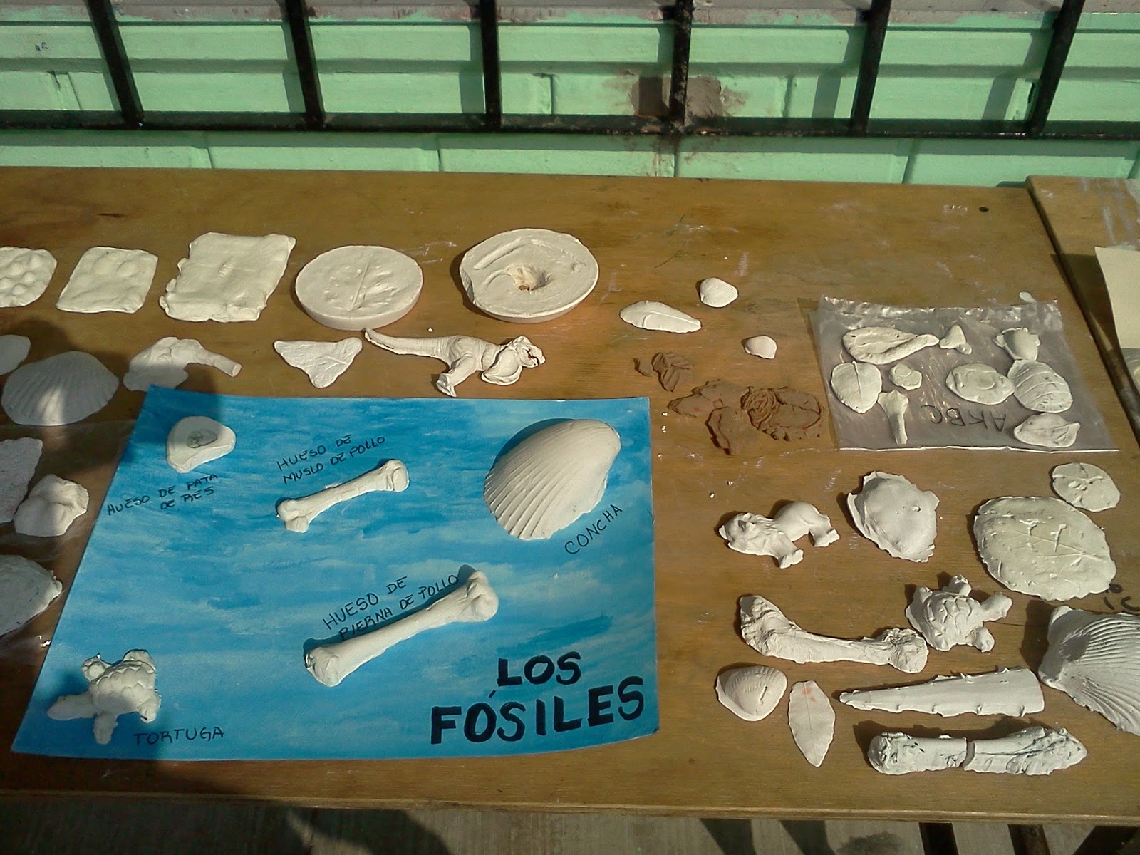 Los Cibers 6B EliseoZ: TRABAJOS DE 6°B "FÓSILES"