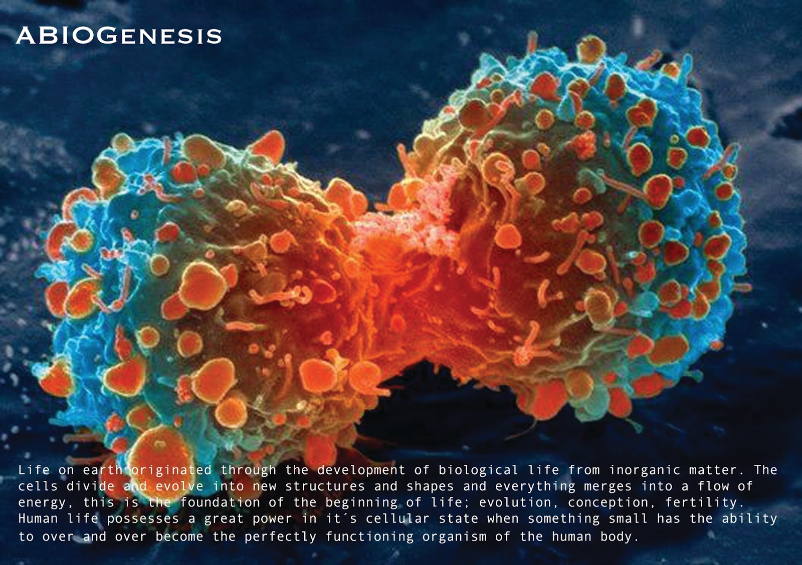 Life Energetically Generated from "Lifeless Environment" | AbioGenesis ...