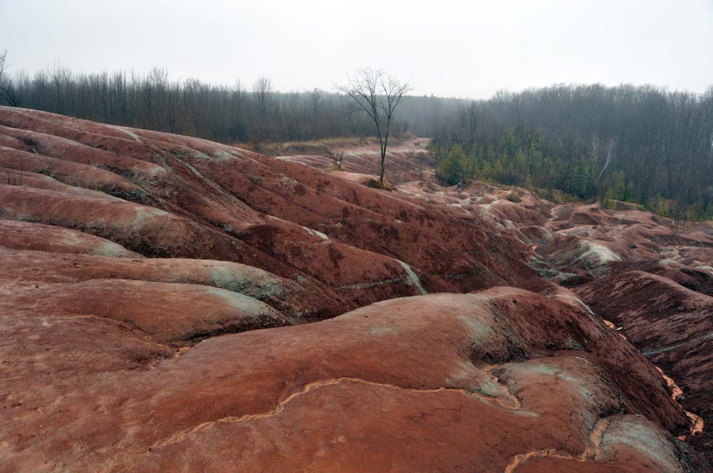 Toronto Grand Prix Tourist - A Toronto Blog: Badlands in Spring - A ...