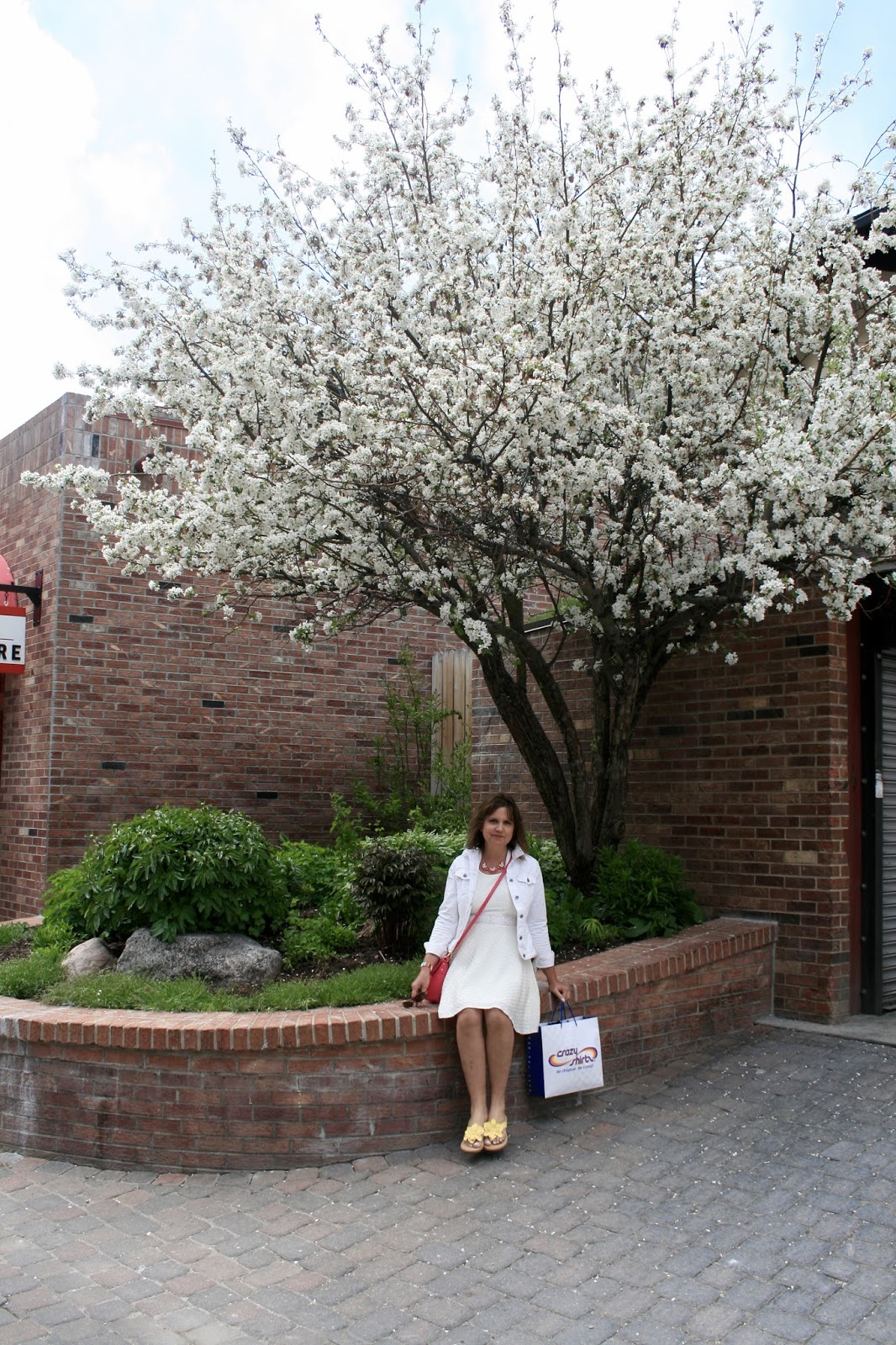 Amy's Creative Pursuits: The Beautiful Spring Blooms of Vail, Colorado