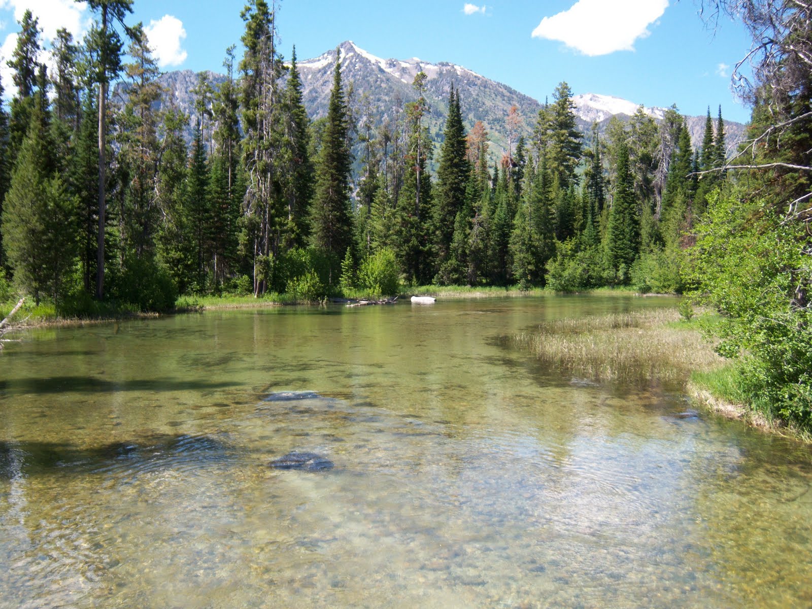Laurance S. Rockefeller Preserve