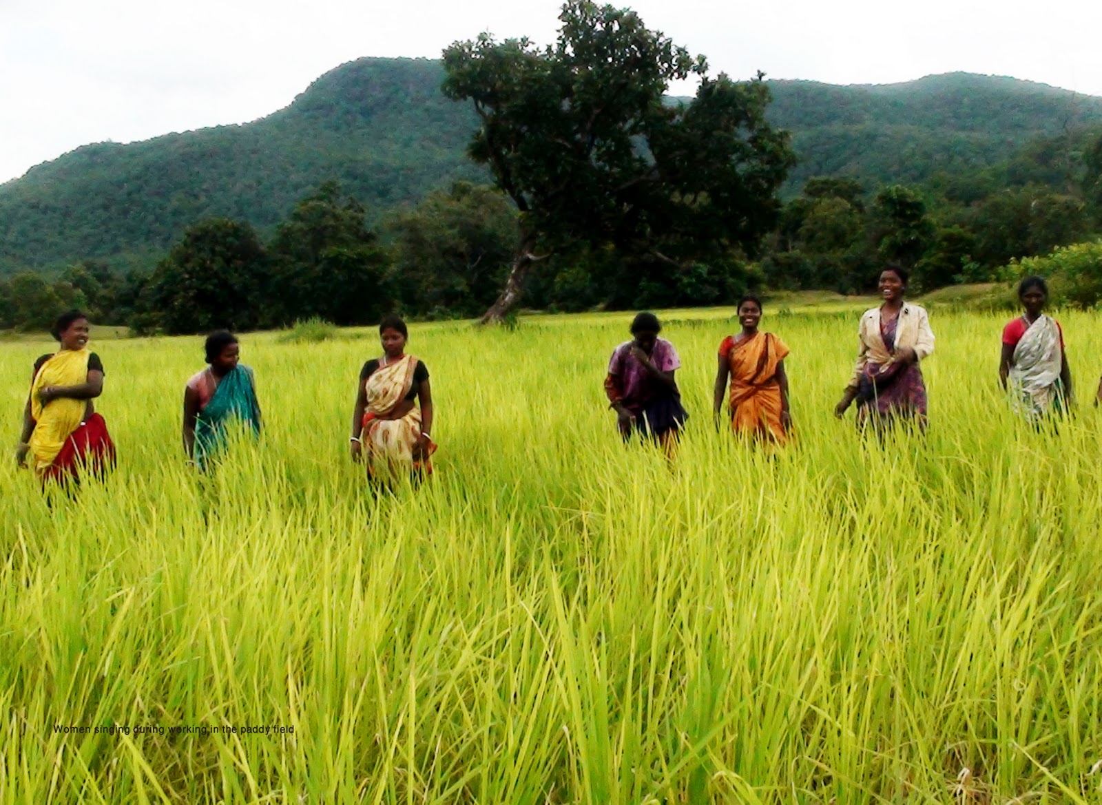 Santals and their costume and tradition: Santali Dance Forms
