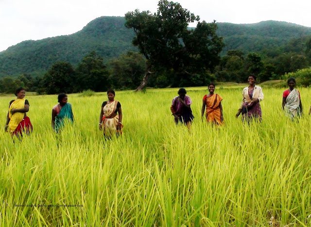 Santals and their costume and tradition: Santali Dance Forms