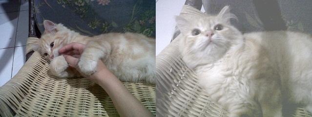 YUK JENK....SILAHKAN MASUK KE RUMAH SAYA!!